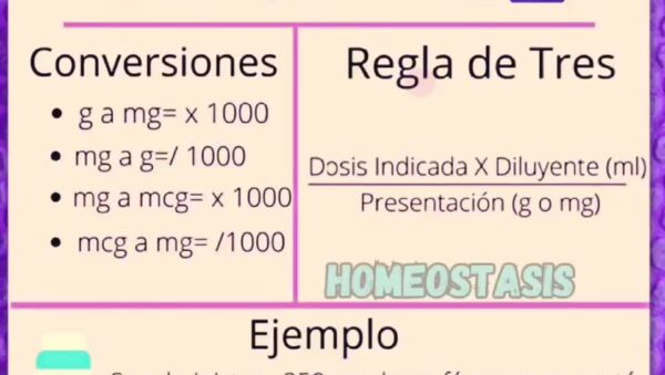 CC y Gramos: La Verdad Detrás de la Equivalencia | TODO CALCULADORAS