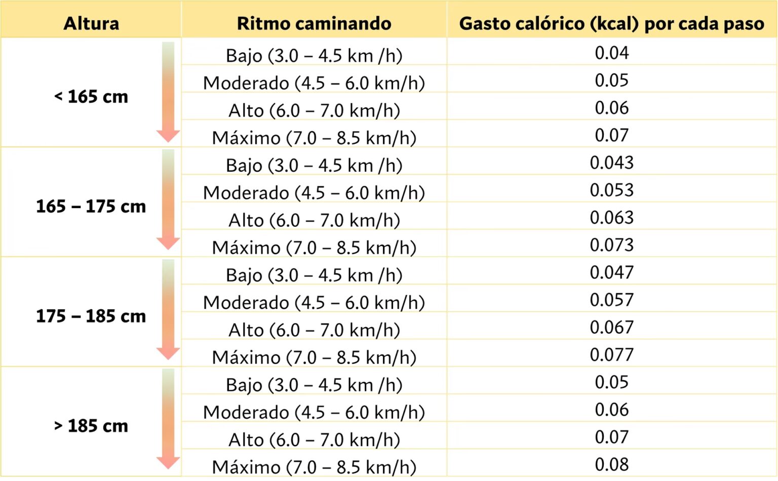 ¿Cuántos Pasos Debo Dar? Guía Completa de Conversión | TODO CALCULADORAS