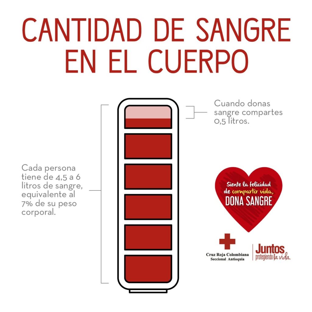 Tu Sangre: Volumen y Conteo Completo | TODO CALCULADORAS