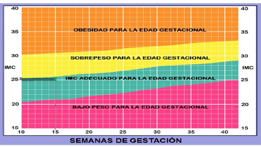 IMC y Ganancia de Peso en el Embarazo: Lo Esencial | TODO CALCULADORAS