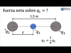 ¿Cómo se Calcula la Fuerza Neta? | TODO CALCULADORAS