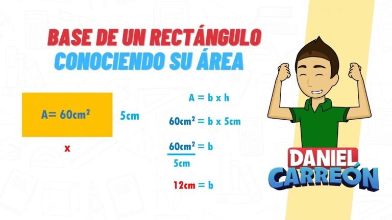 Descifrando la Base: Cálculos y Fórmulas Esenciales | TODO CALCULADORAS