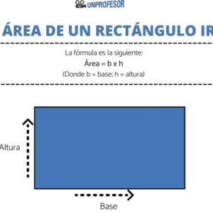 Cómo Calcular m2 de un Rectángulo: Guía Completa | TODO CALCULADORAS