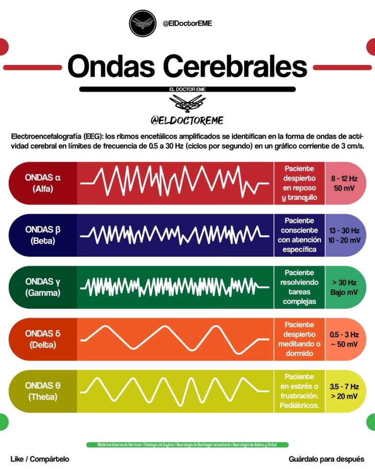Desentrañando las Ondas Alfa: Medición y Beneficios | TODO CALCULADORAS