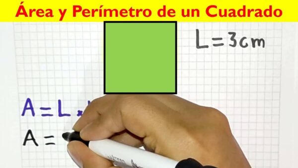 Perímetro vs. Área y el Poder de las Fracciones | TODO CALCULADORAS